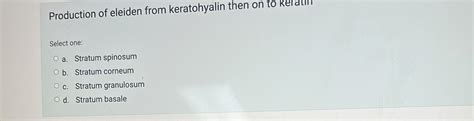 Solved Production Of Eleiden From Keratohyalin Then On To