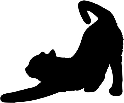 Funny Silhouette Photography