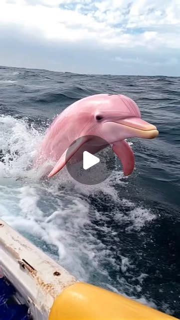 Surendra Garhwal On Instagram Instagram November