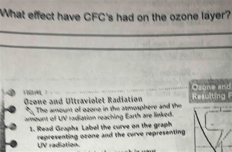 Solved What Effect Have Cfcs Had On The Ozone Layer Ozone And Ultraviolet Radiation The Am