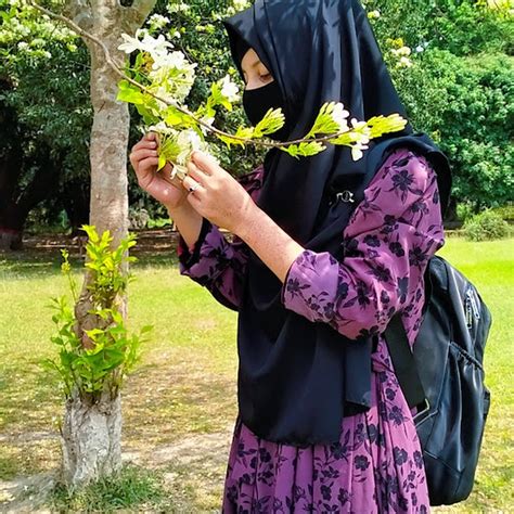 The Curiosity Compass Youtube