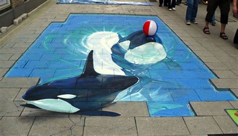 Тротуарная 3D-плитка (21 фото): рисунки на брусчатке и ее укладка ...