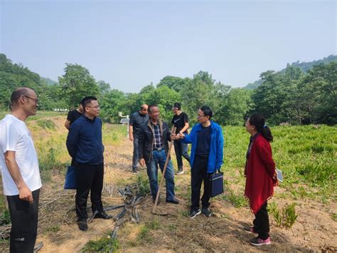 渭南市科技特派员孙占育副教授助力乡村产业振兴 渭南职业技术学院