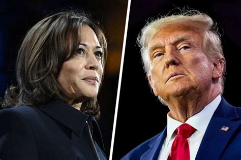 Elezioni Usa 2024 Tra Sondaggi 7 Stati Chiave Camera E Senato La