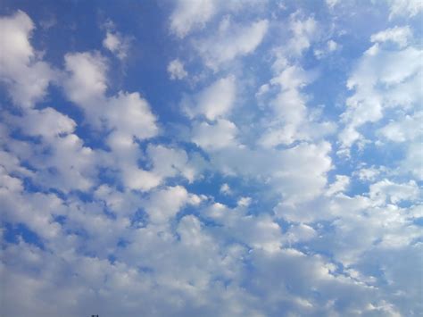 天空上的云图 搜狐大视野 搜狐新闻