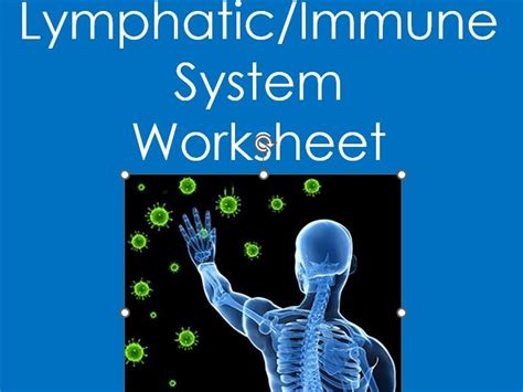 Lets Talk Vocablymphaticimmune System Worksheet Anatomy Biology