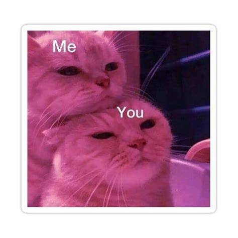 Cute Cat Cuddle Sticker For Sale By Deepfriedfeline