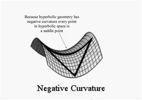 Hyperbola In Nature