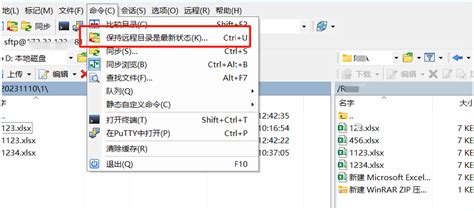 互联技术 基于winscp自动同步本地文件到远程服务器