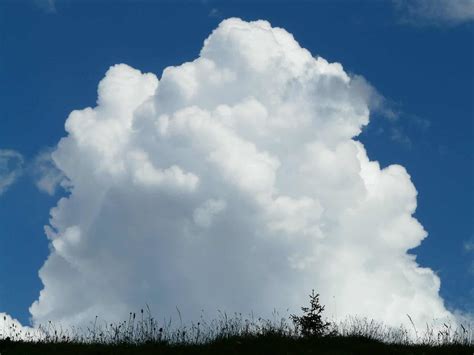 The Types Of Clouds Everything You Need To Know