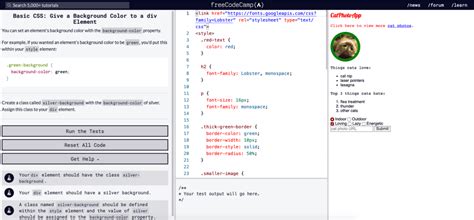 Freecodecamp Review And Guide Career Karma