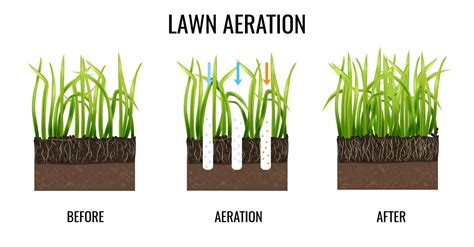 The Benefits Of Spring Aeration In Clarkston Owen Tree Service