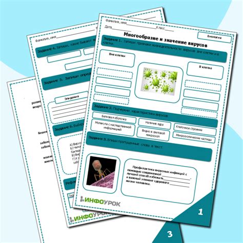 Рабочий лист по биологии для 5 класса Многообразие и значение вирусов
