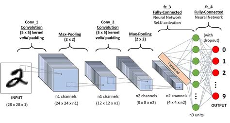 Demystifying Convolutional Neural Networks Cnns The Ultimate Beginners Guide