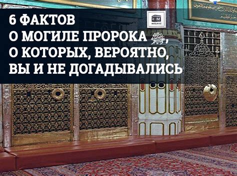 Могила Пророка Мухаммеда Фото Как Выглядит Telegraph