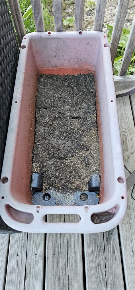 Looking For Ideas For Used Substrate Rmycology
