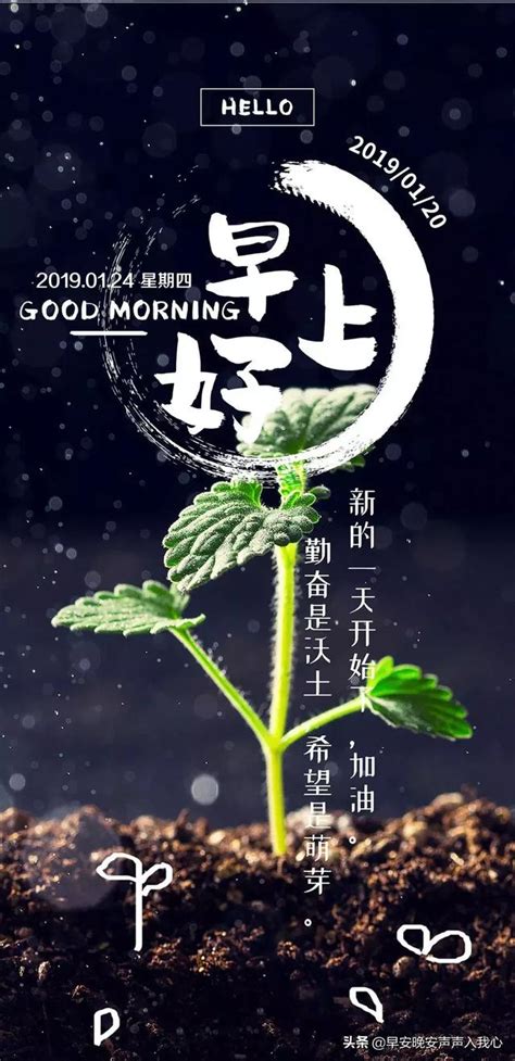 周四早安經典語錄正能量 早上好圖片正能量帶字 每日頭條