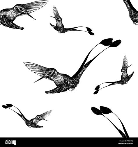 Seamless Pattern Of Hand Drawn Sketch Style Hummingbirds Isolated On