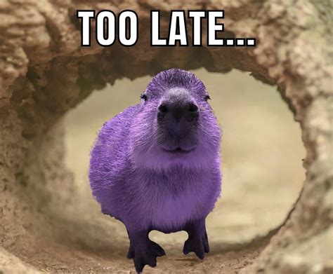 Silly Gort R Capybara