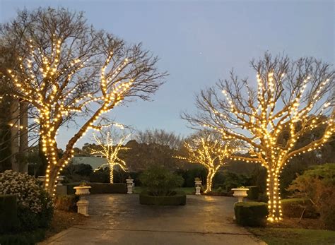 Contact Tree Lights Melbourne