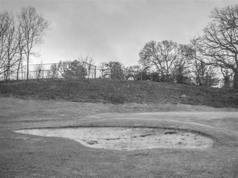 Make The Golf Course A Public Sex Forest The New Inquiry