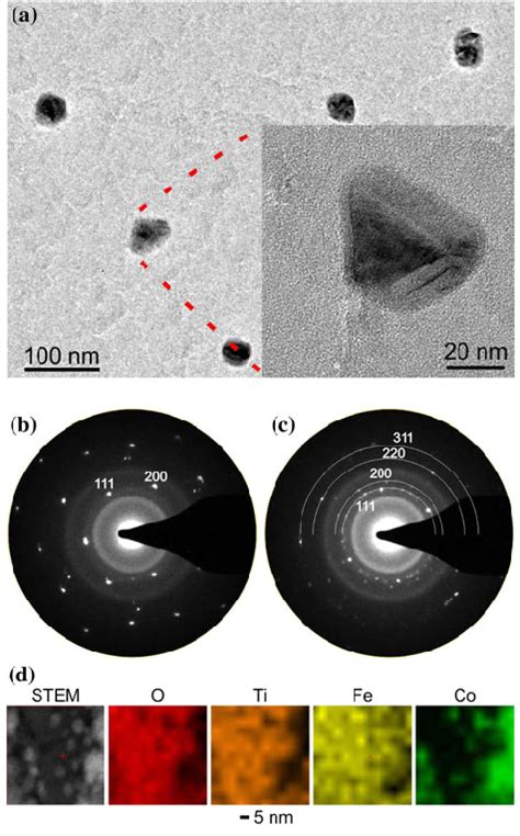 A Microstructure Of The Initially Amorphous Film Tio 2 Feco After In Download Scientific