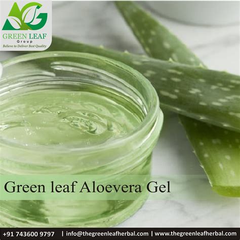 Aloe Vera Gel The Green Leaf Herbal