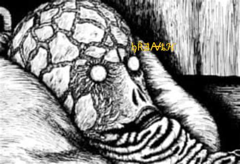 ᶀȒ∄Ꜻȶℋ r ooer