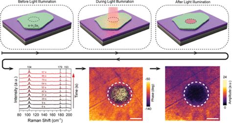 Optical Effects On Polarization States In Van Der Waals Ferroelectric α In2se3 The Journal Of
