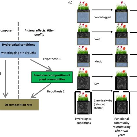 Conceptual Figure Showing The Rationale Behind The Experiment And The