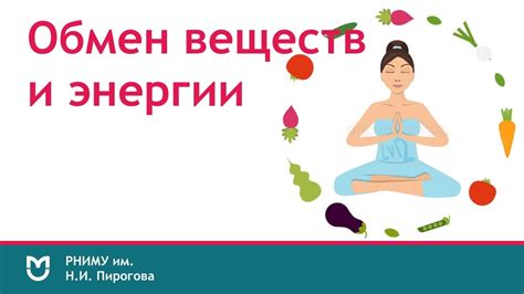 Обмен веществ и энергии // Шишелова А.Ю. 30.04.2020 - YouTube