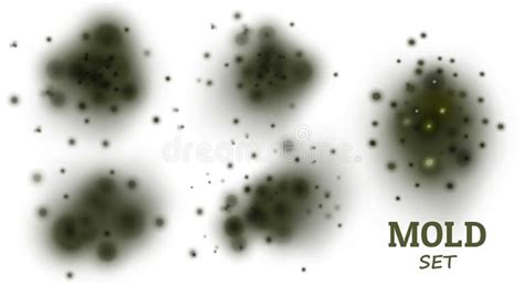 Spot Spore Stock Illustrations 215 Spot Spore Stock Illustrations