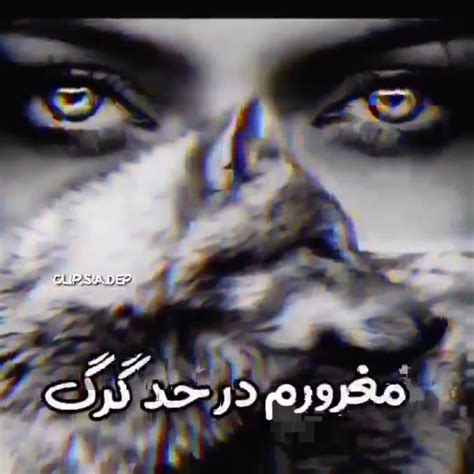 کلیپ لاتی سنگین برای استوری
