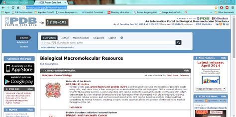 Screenshot Showing The Home Page Of The PDB Protein Data Bank On