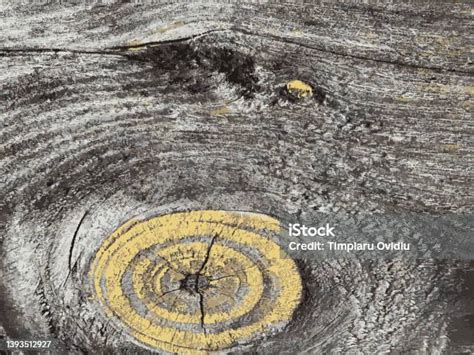 Wooden Wall Background Wood Texture向量圖形及更多傢俱圖片 傢俱 具有特定質地 厚板 Istock