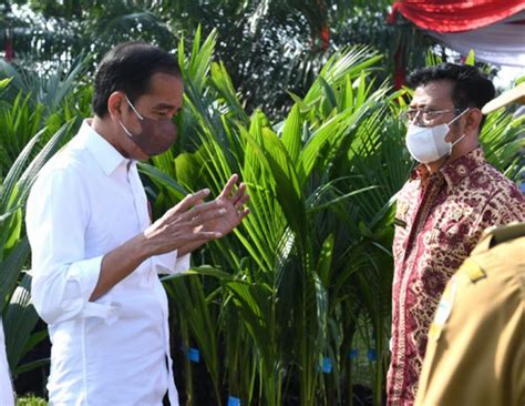 Jokowi Sudah Tahu Syahrul Yasin Limpo Hilang Kontak Usai Rumah Dinas