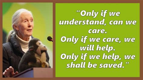 Inspirational Words Of Wisdom From Jane Goodall
