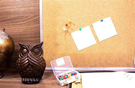 Joy Plastic Head Push Pin 100pcs 12box Paper Cart