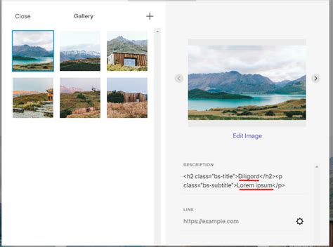 Customization Gallery Hover Effect Sliding Caption Customize With Code Squarespace Forum
