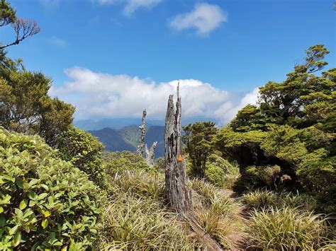 5 Beautiful Walks In Waikanae Chur New Zealand