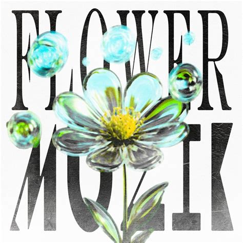 Boodoo Senpolia Lyrics English Translation Plyric