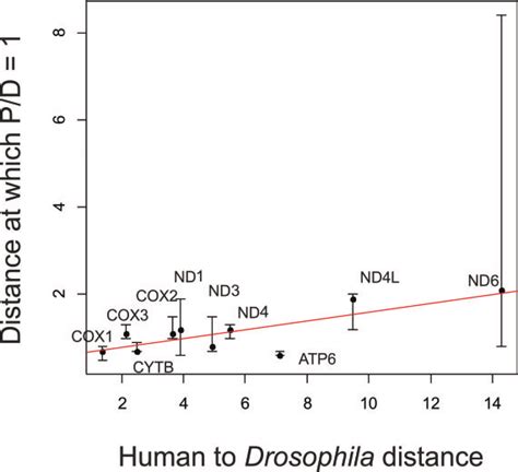 Faster Decline Of The P D Ratio For Rapidly Evolving Genes Horizontal