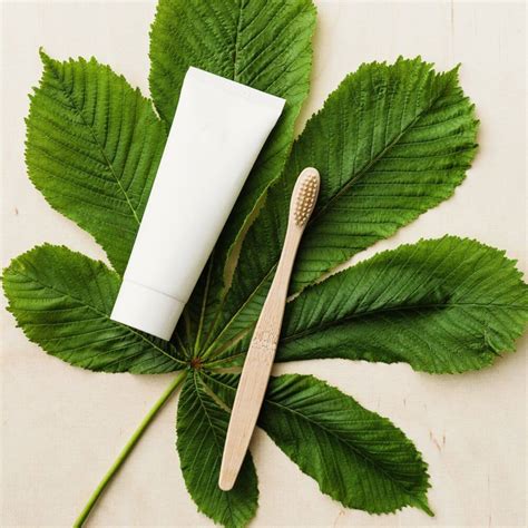 Is Neem Toothpaste The Holy Grail Of Oral Hygiene Top 6