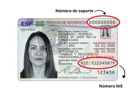 Cuál es el número de soporte del NIE Tus Ayudas