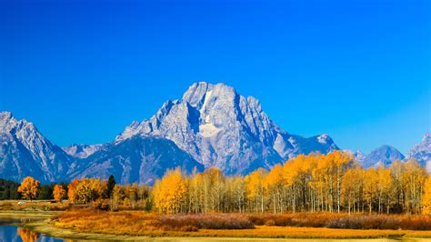 Thank You To Our Guests For Joining Flat Rock Global Llc Cio Shiloh Bates And Michael J Dolacky