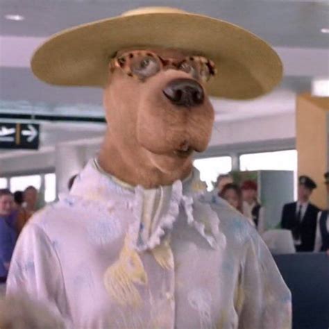 Scooby Doo Movie Scooby Doo Movie Scooby Doo Dress Shaggy And Scooby