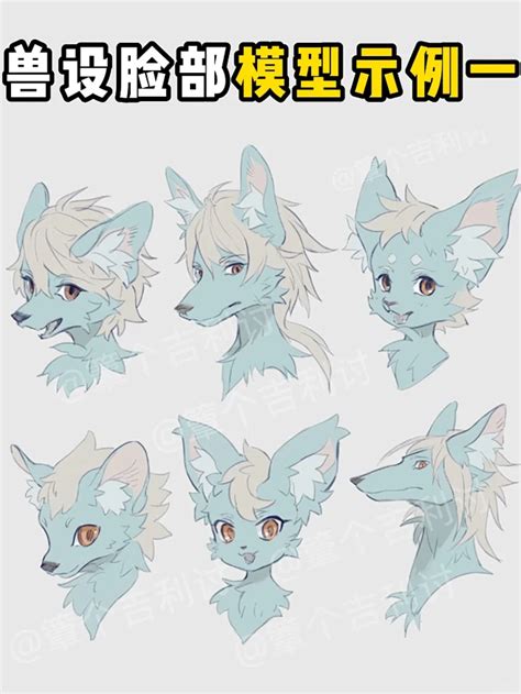 人外兽设画法系列26｜不同类型的脸部模型 花瓣网