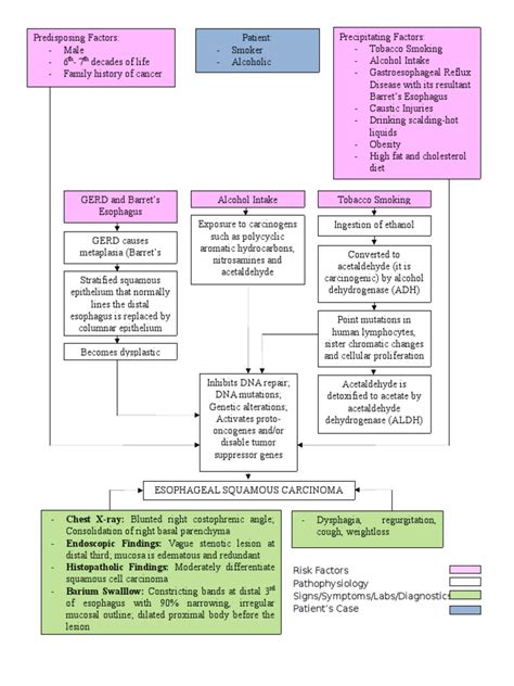 Pathophysiology Of Esophageal Ca Pdf Esophagus Gastroesophageal
