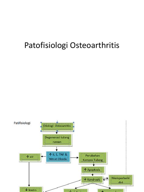Patofisiologi Blefaritis Alomedika 23562 The Best Por