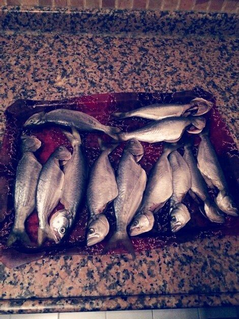 Premium Photo Dead Fish On Tray